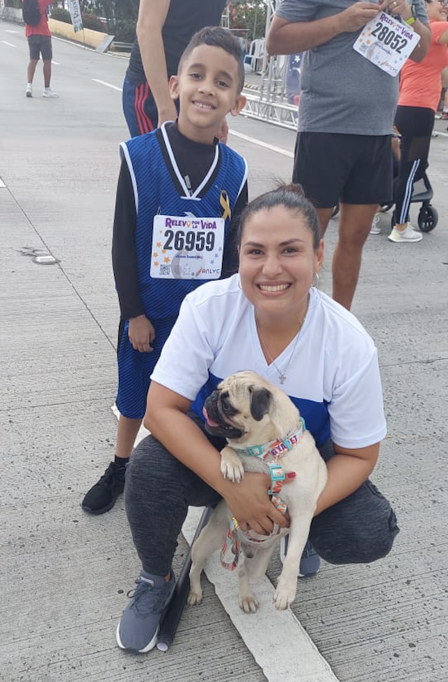 Noticias - APC Experian